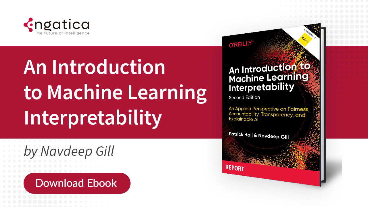 An Introduction to Machine Learning Interpretability